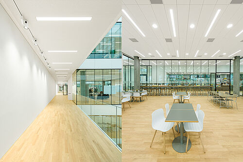 Innovative luminaires for innovative research at Sitem-Insel in Bern ...